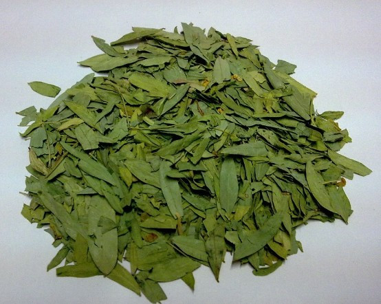 Senna Leaves Tea (7 sachets)